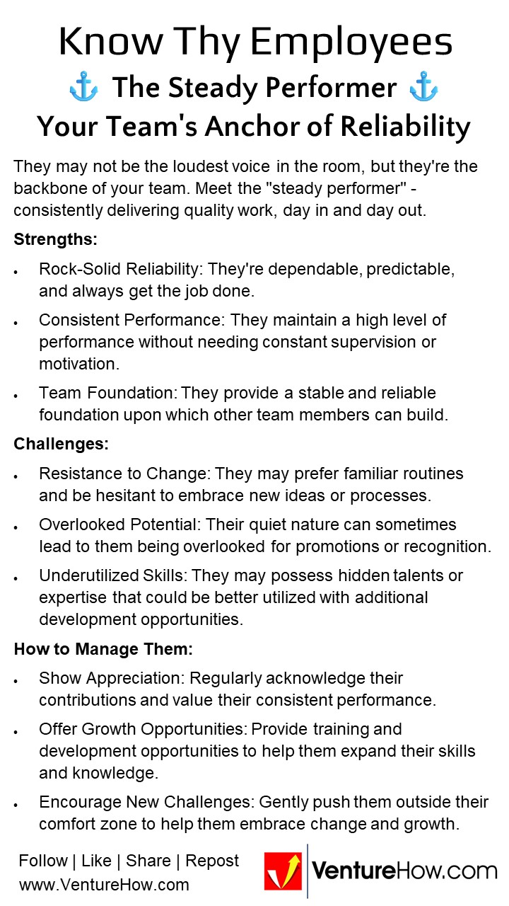 ⚓ The Steady Performer: Your Team's Anchor of Reliability ⚓